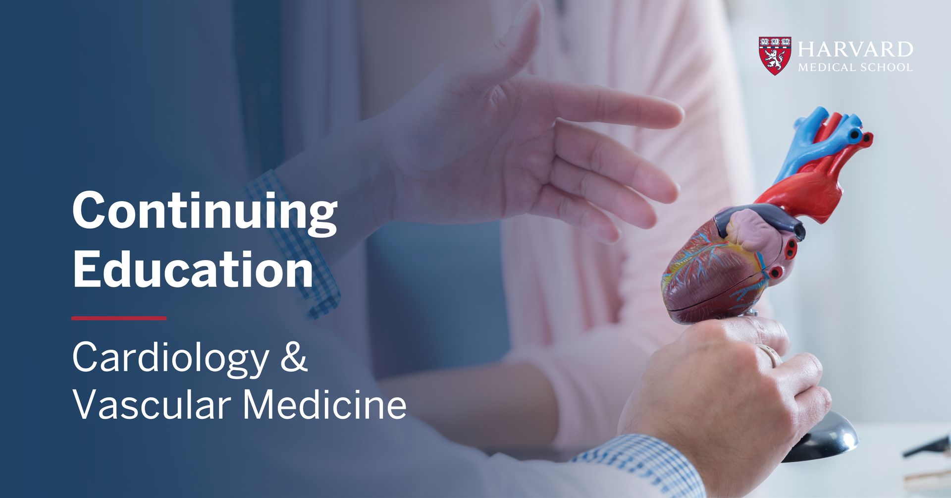 Harvard Update in Clinical Cardiology 2024 - MedicalBooksVN